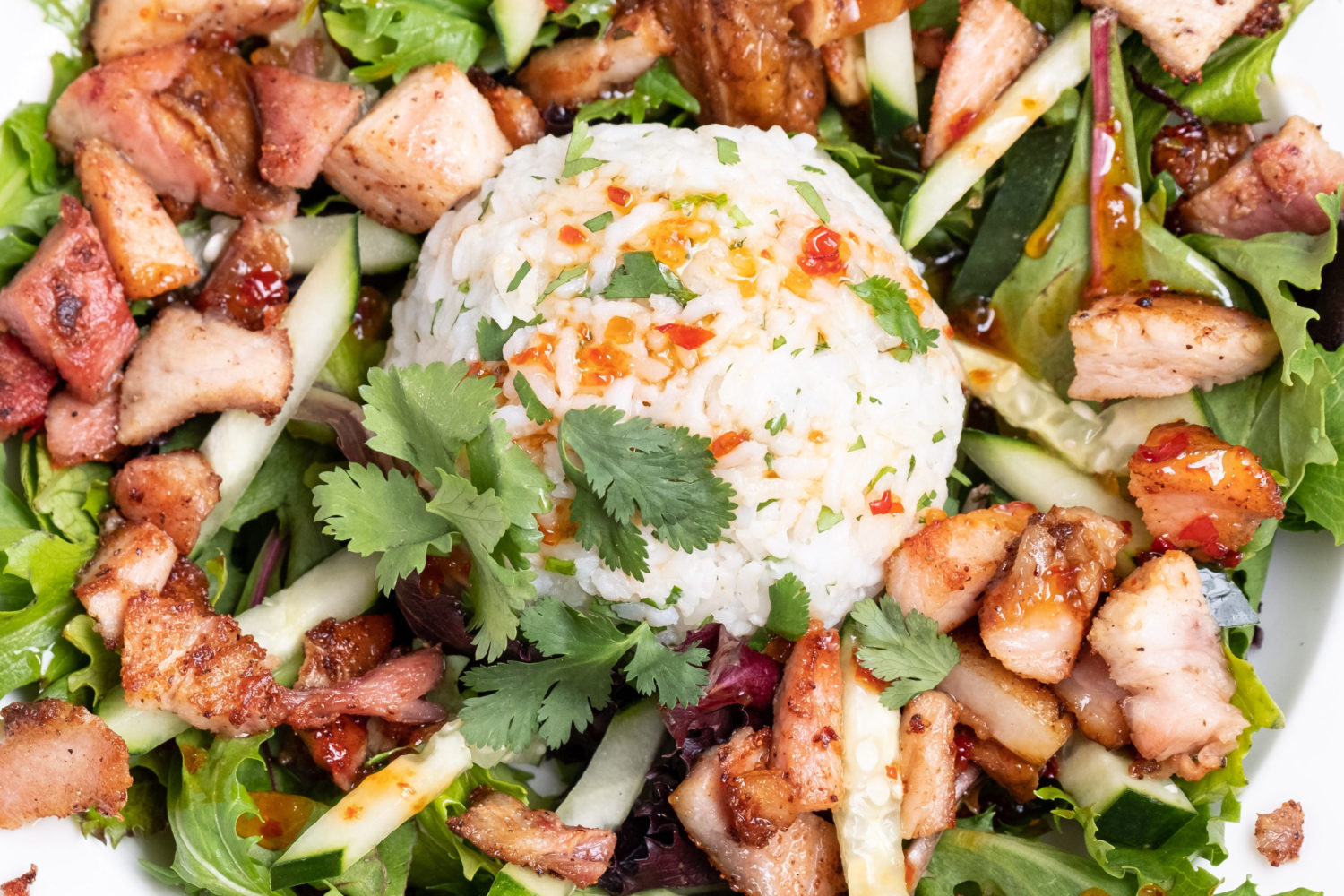 Home - The Pickwick Place